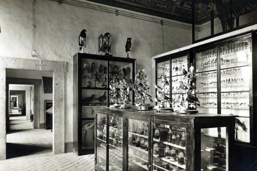 The Jesuit Oath - Historical Archives